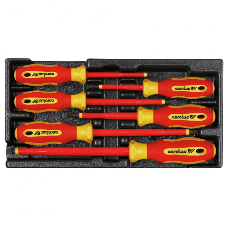 VDE Screwdriver set in 1/3 module - thegermantooltruck.com